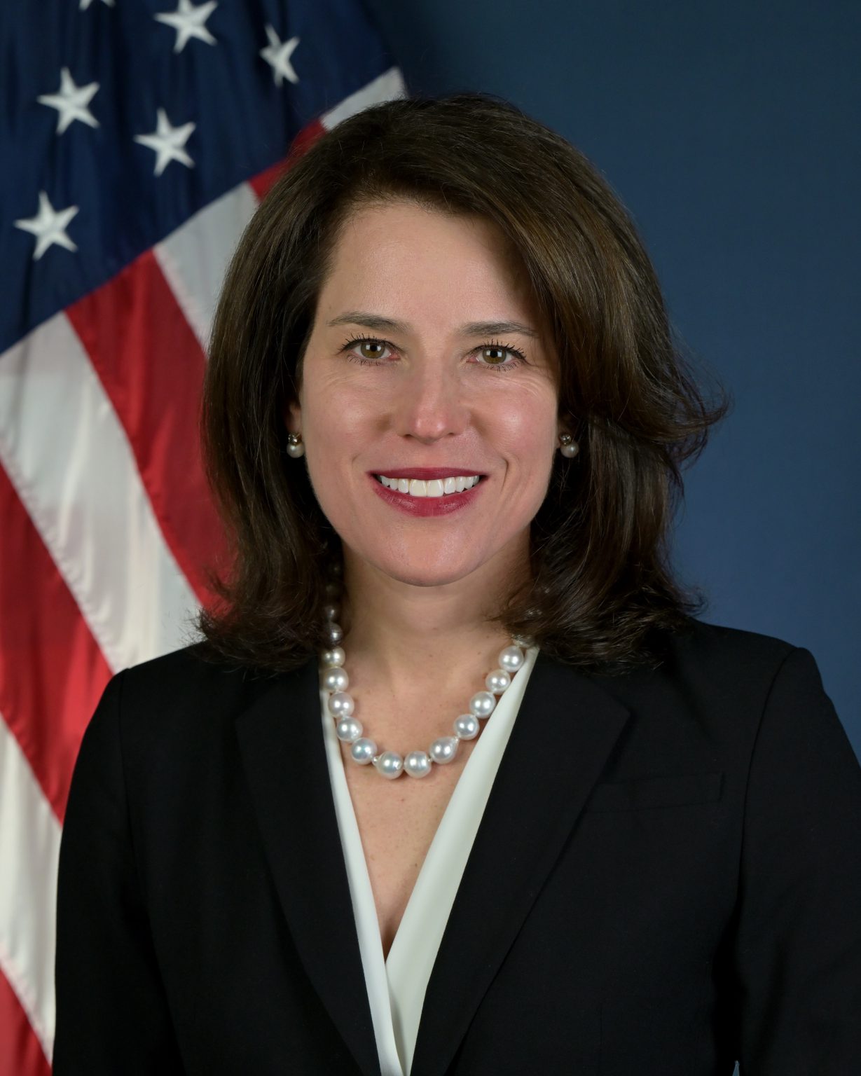 Surface Transportation Board